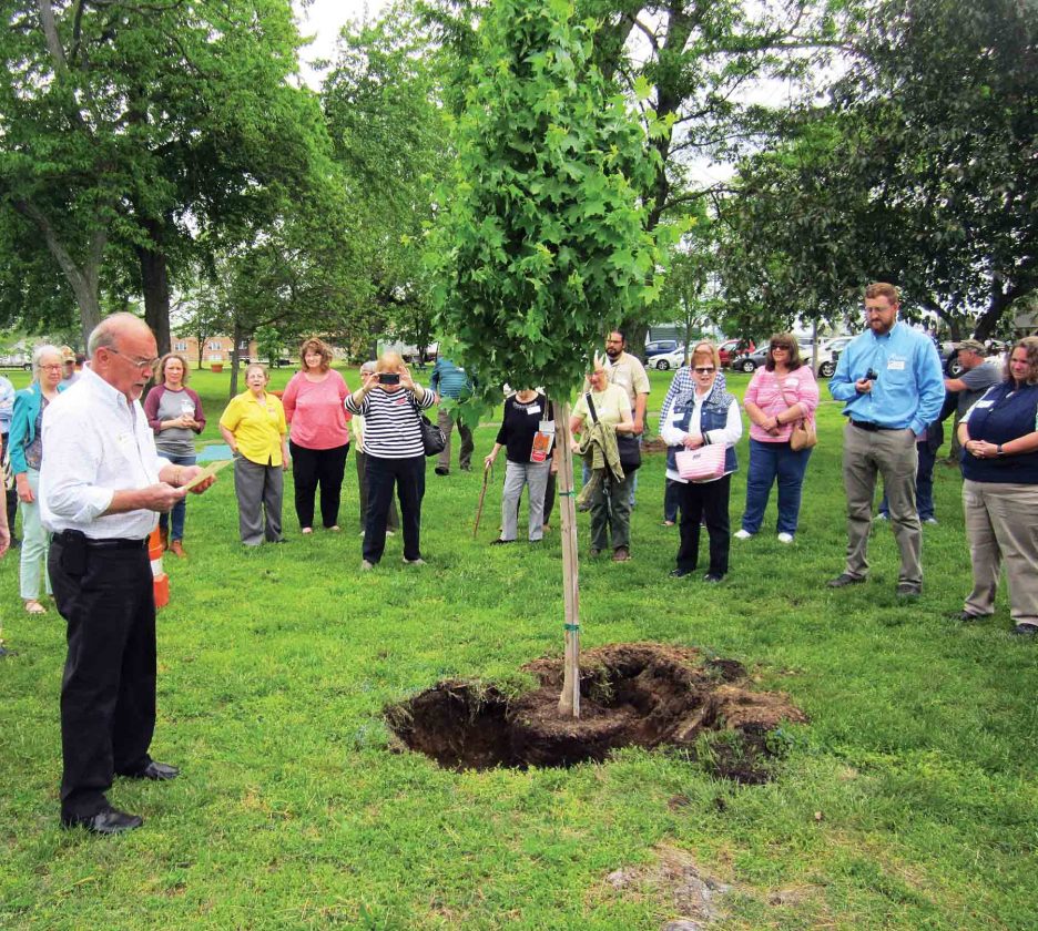Belpre celebrates Tree City USA designation with Arbor Day planting ...